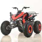 Cuatrimoto Raptor - 5 Motos cuatrimoto raptor - Cari Motos